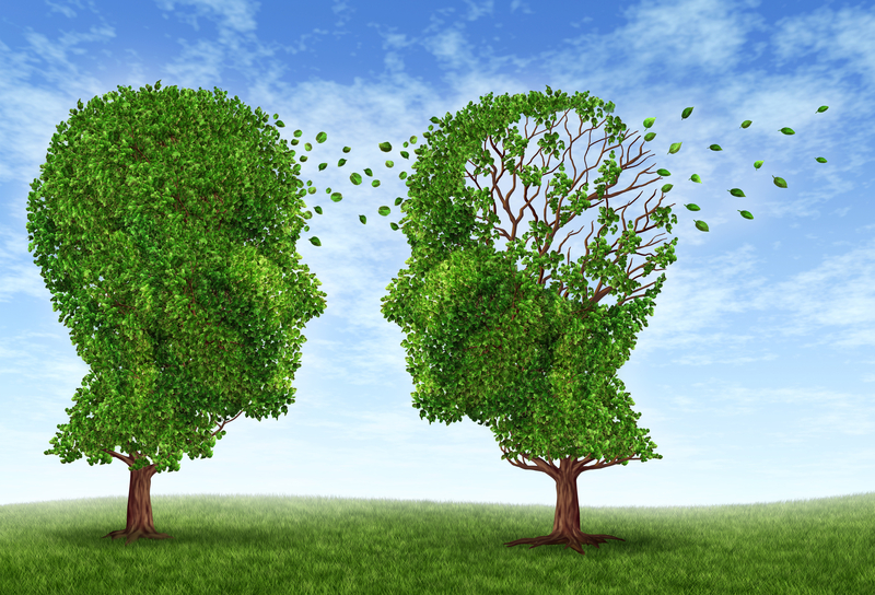 Cognitive Sleep Therapy Sleep Cognitive Decline Medication For Rem